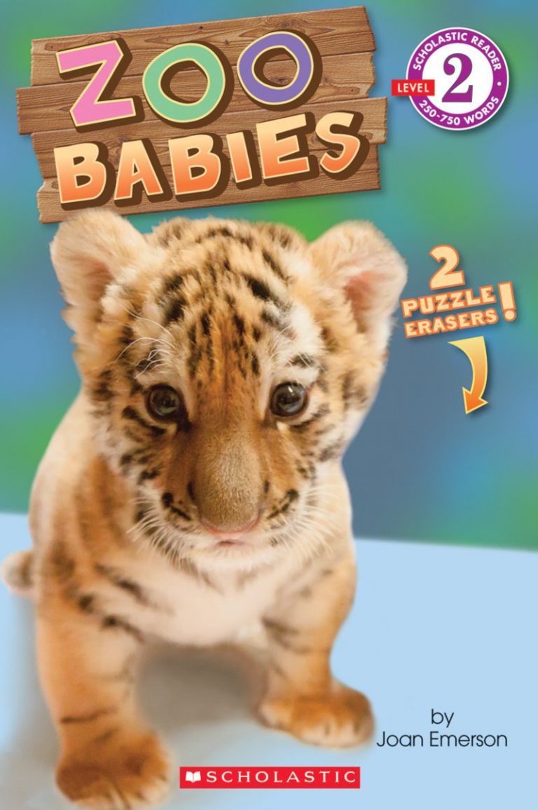 Zoo babies – Kho tài liệu tư duy cho trẻ